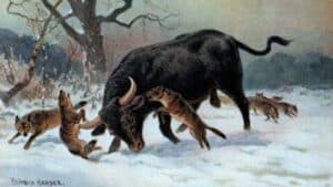 Viking Farm Animals | Complete list | Nordic Culture - Skjalden.com