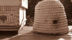 Viking Mead | The oldest alcoholic drink in the world - Nordic culture