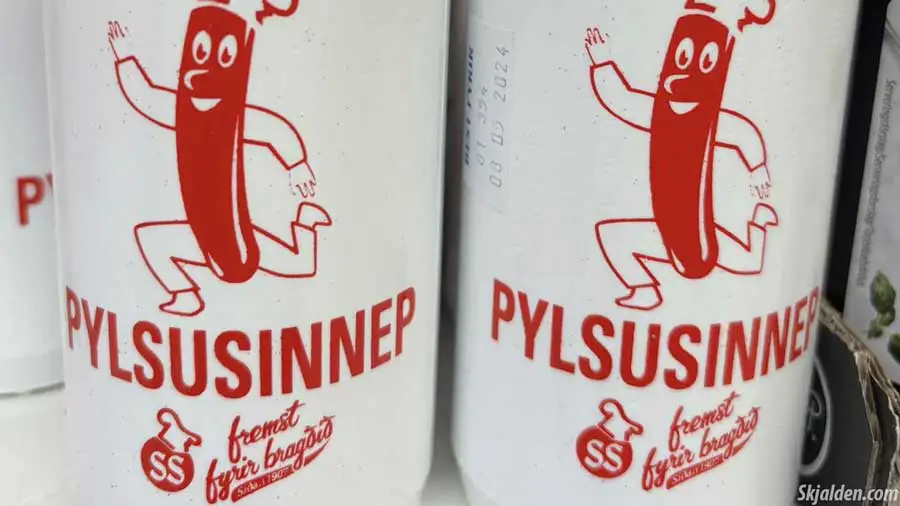 Everything You Need to Know About Pylsusinnep